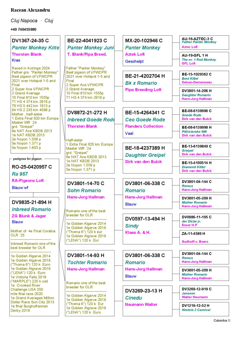 RO 25 420957 RA Pigeons Loft - Father raced at Avi ... - RacePigeons.ro