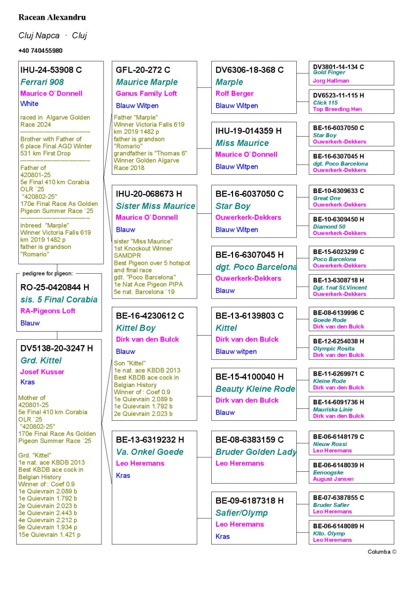 RO 25 420844 RA Pigeons Loft - Sister to 5. Final ... - RacePigeons.ro