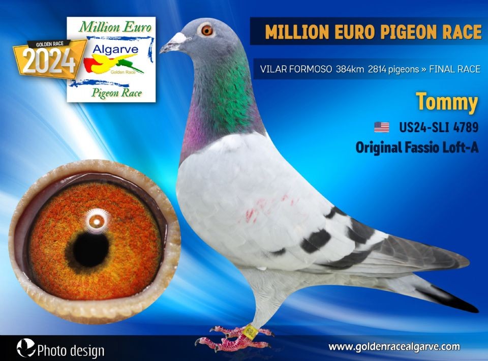 RO 25 420950 RA Pigeons Loft - "Thomas 6" and "Rom ... - RacePigeons.ro