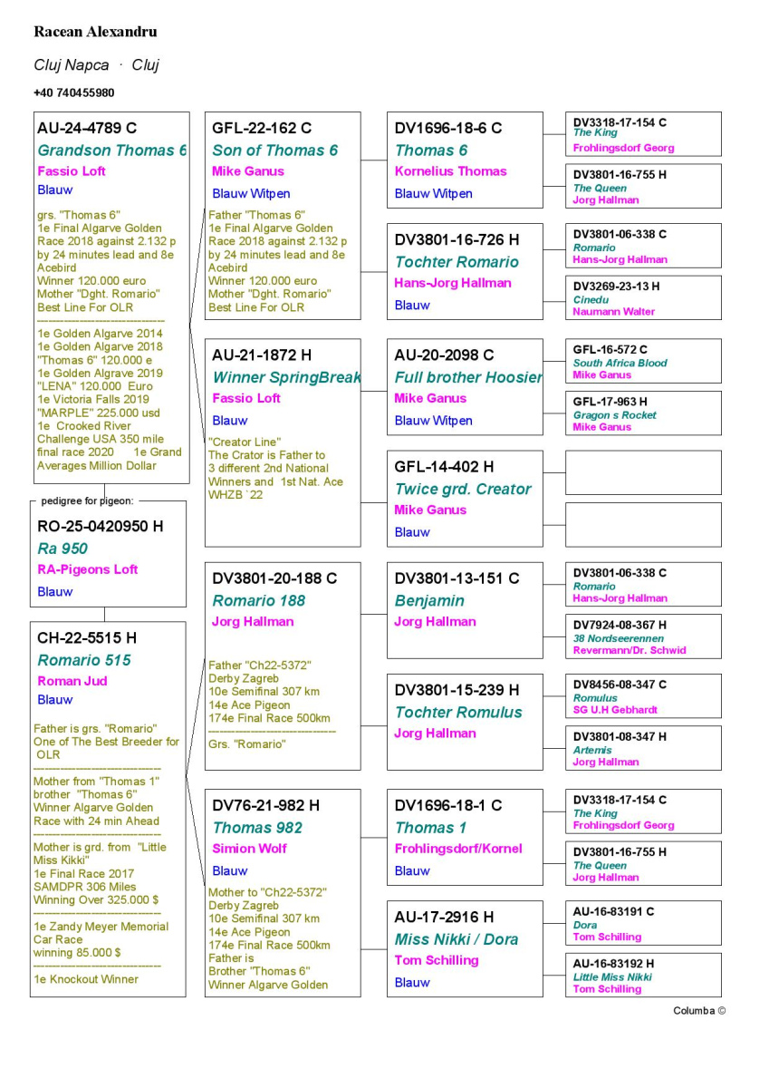 RO 25 420950 RA Pigeons Loft - "Thomas 6" and "Rom ... - RacePigeons.ro
