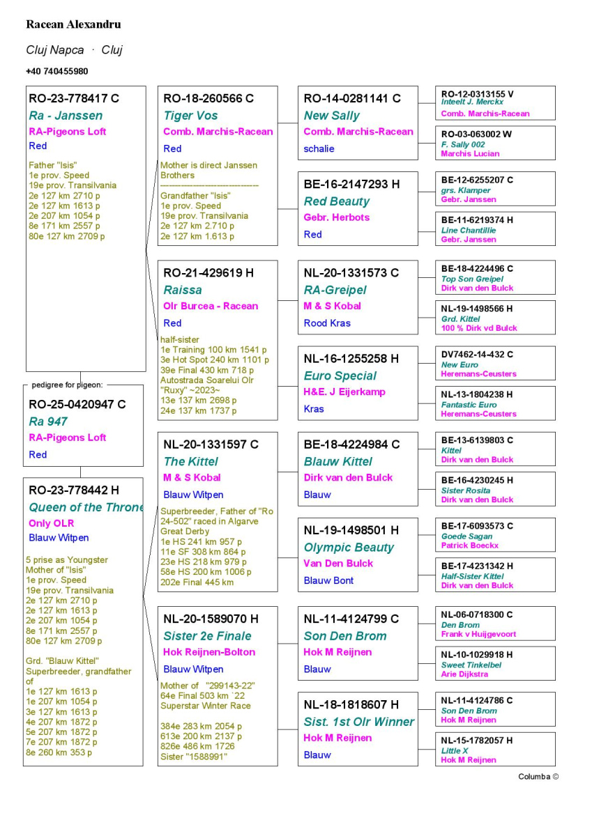RO 25 420947 RA Pigeons Loft - Dirk vd Bulck / Rei ... - RacePigeons.ro